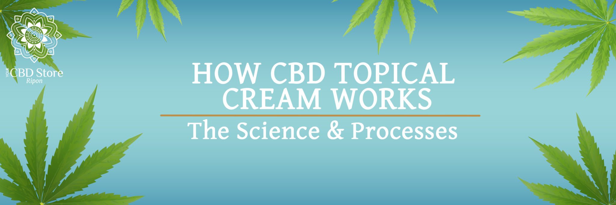How Do Cbd Skincare Products Work — Your Cbd Store Ripon Naturals