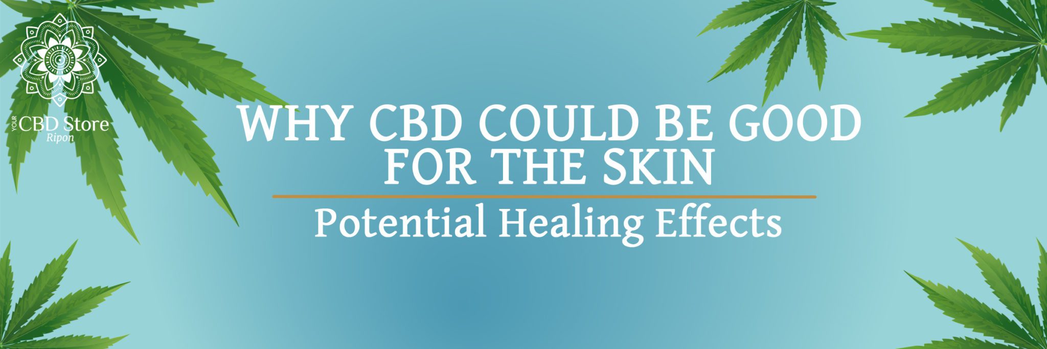 How Do Cbd Skincare Products Work — Your Cbd Store Ripon Naturals